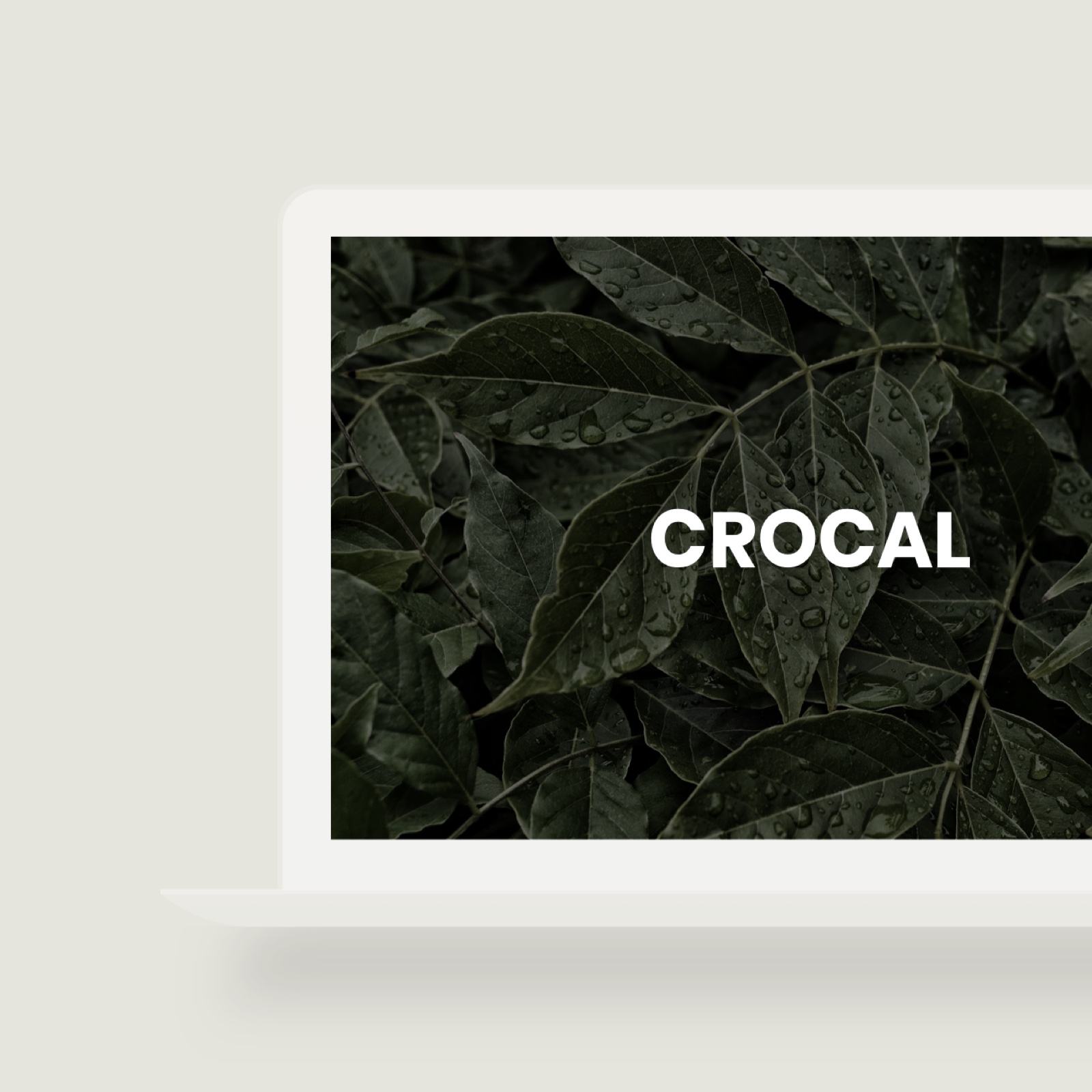 Crocal Portfolio Case